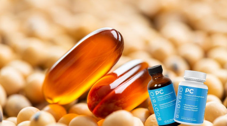 The Role of Phosphatidylcholine (PC) in Boosting Overall Well-being ...